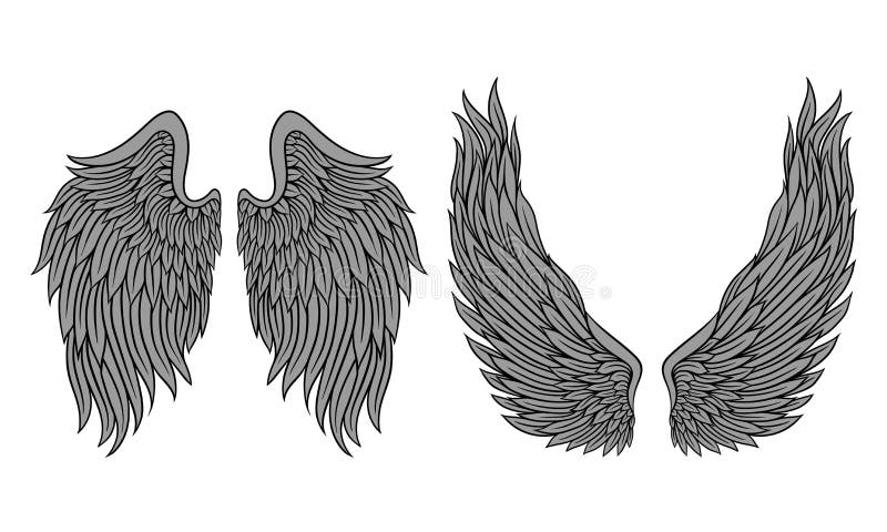 Heraldic Feathers Stock Illustrations – 602 Heraldic Feathers Stock ...