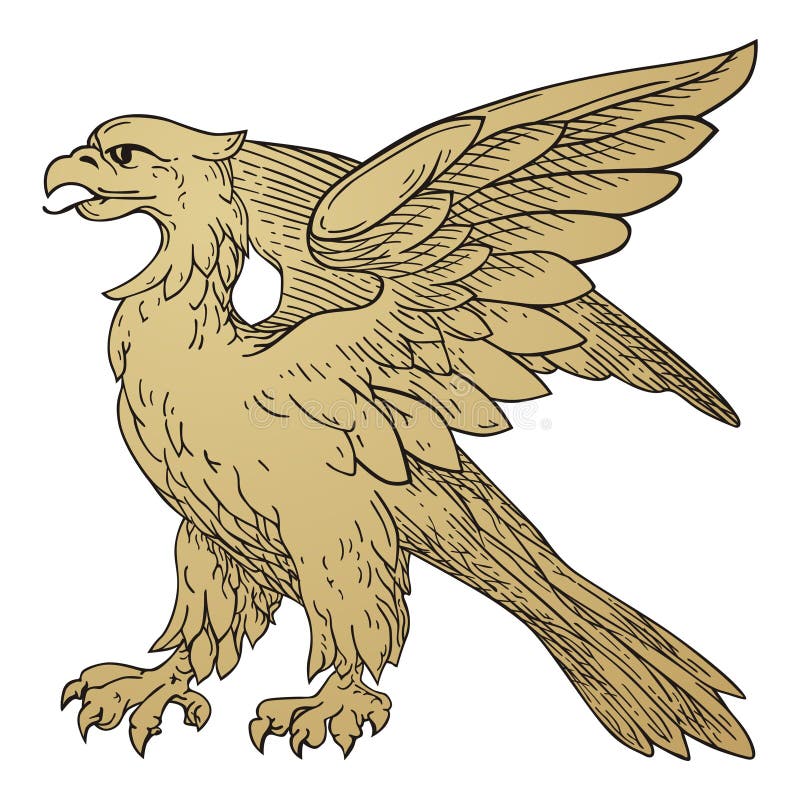 Heraldischer Greif vektor abbildung. Illustration von messer - 58291054