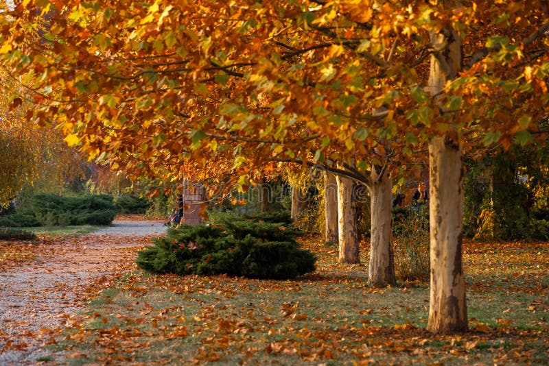 Autumn in Bucharest City, Romania Editorial Image - Image of city ...