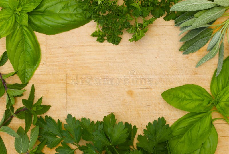 Herb Border on Wooden Background Stock Image - Image of nature ...