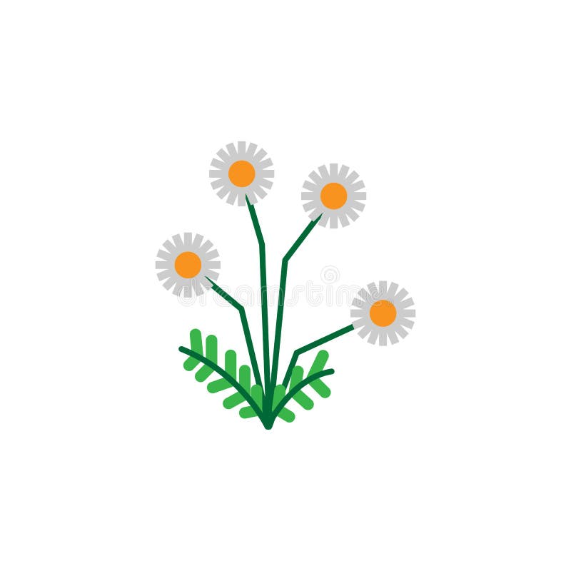 Herb, Chamomile Icon. Element of Herb Icon for Mobile Concept and Web ...