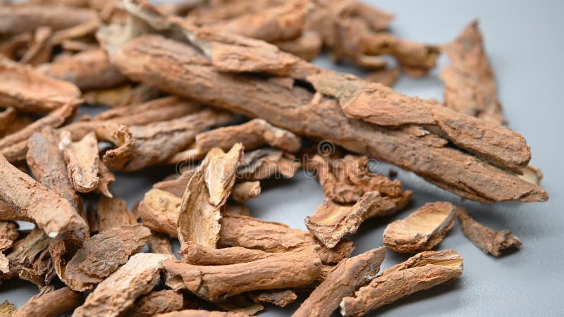 Herb DiGuPi or Lycii Cortex or Chinese Wolfberry Root - Bark Stock ...