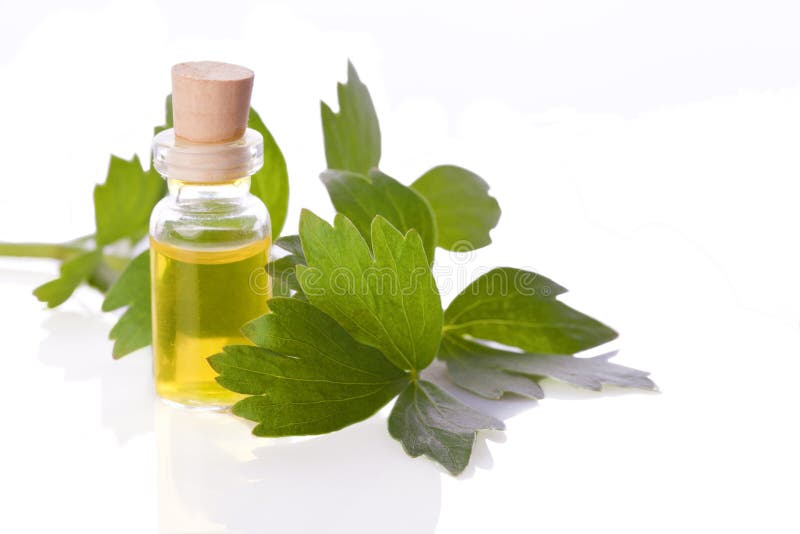 Herb essence stock image. Image of homeopathy, plant - 32861797