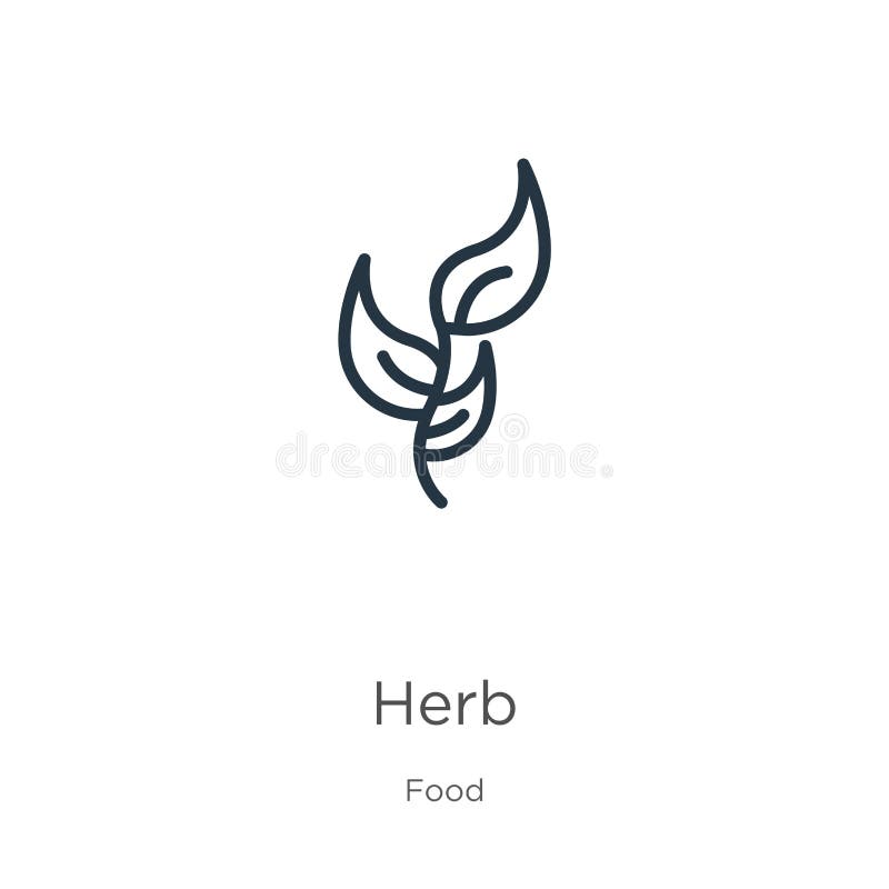 Herb Icon. Thin Linear Herb Outline Icon Isolated on White Background ...