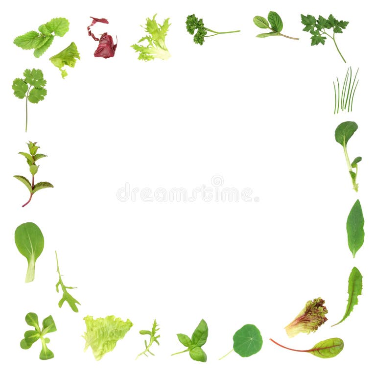 Herb Border Stock Illustrations – 47,746 Herb Border Stock ...
