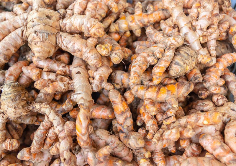 Herb Medicine Tumeric Root at Herbal Market Stock Image - Image of bowl ...