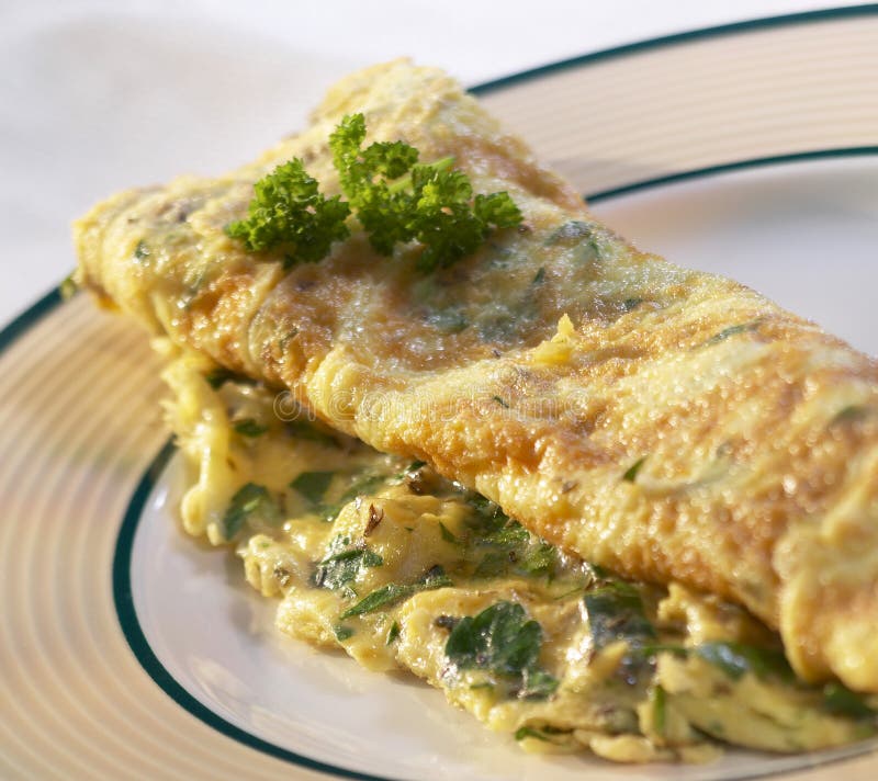 Herb omelette stock photo. Image of classical, omelette - 23704076