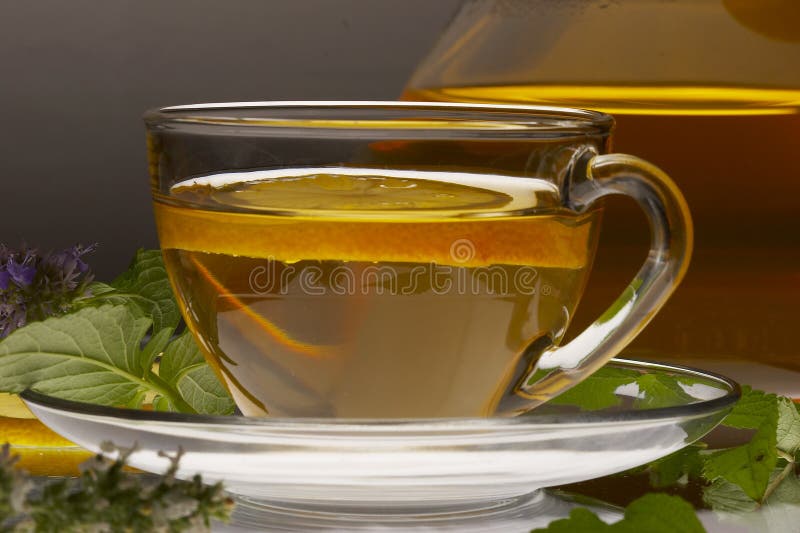 Herbaceous tea stock photo. Image of china, bitter, glass - 1131998