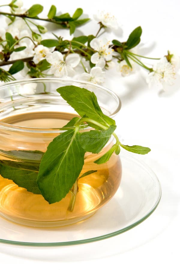 Herbaceous tea stock image. Image of glassy, glass, relax - 5140439