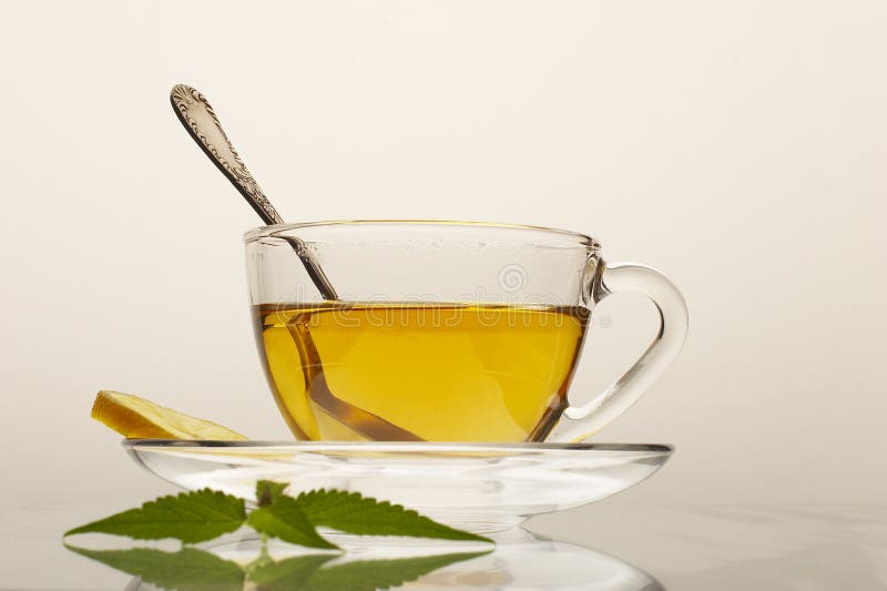 Herbaceous tea stock image. Image of light, herbaceous - 989373