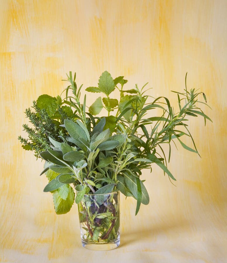 Herbage stock photo. Image of thyme, gardening, lemon - 33836888