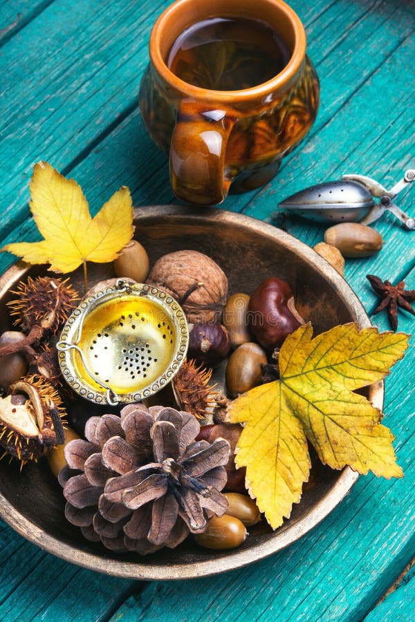 Herbal Autumn Tea stock image. Image of leave, relaxation - 102008185