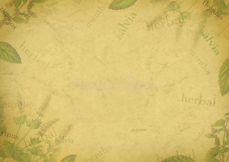 Latin Backgrounds Stock Illustrations – 1,339 Latin Backgrounds Stock ...