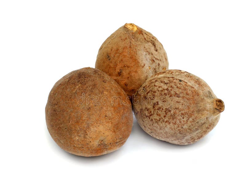 Terminalia Bellericais or Medicinal Bahera Fruits Stock Photo - Image ...