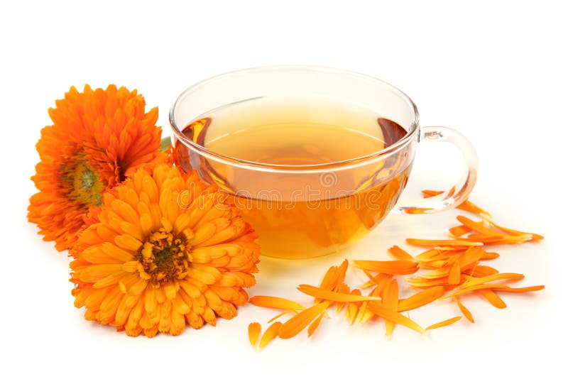 Herbal calendula tea stock photo. Image of beverage, calendula - 8747816