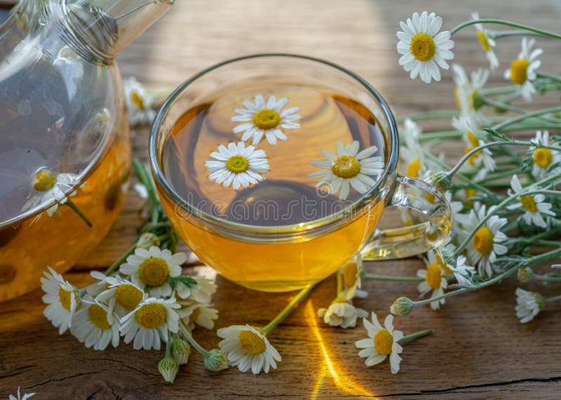 Herbal Chamomile Tea and Chamomile Flowers on Wooden Table. Top View ...