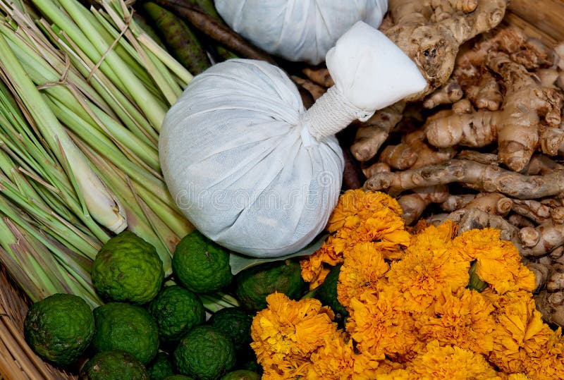 Thai Herbal Compress stock photo. Image of natural, herbal - 18560094