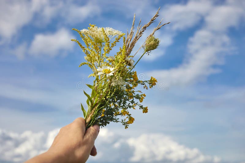 Herbal Consecration and Herb Bush Day of the Assumption of Mary Day ...