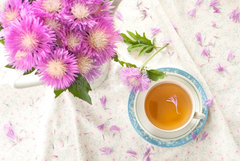 Herbal Cornflower tea stock photo. Image of freshness - 56142906