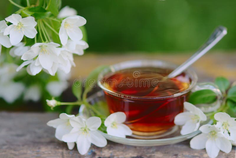Herbal Cup of Tea with Apple-tree Flower Stock Image - Image of spring ...