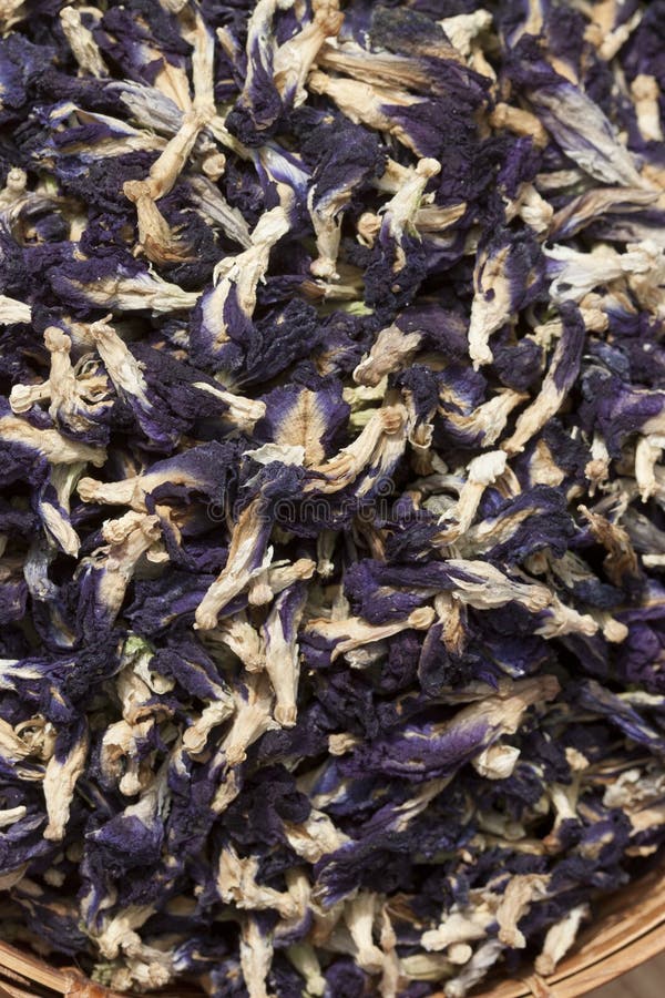 Herbal,Dried Blue Pea Flower Stock Photo - Image of blacken ...
