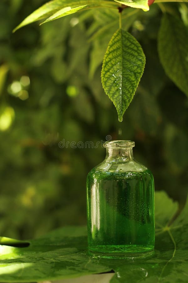 Herbal essence stock photo. Image of perfume, healthy - 43443364
