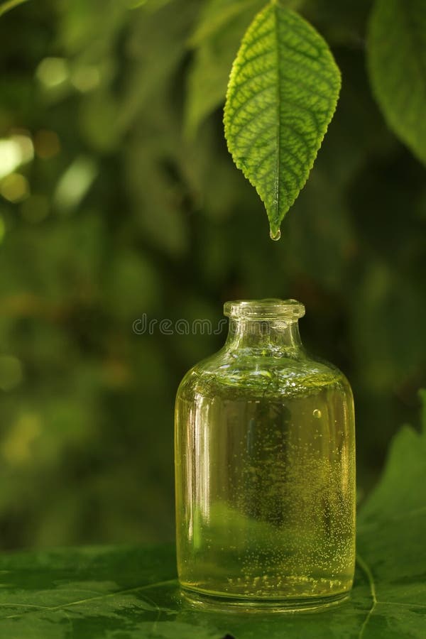 Essence stock photo. Image of fragrance, perfume, cigarette - 4303418
