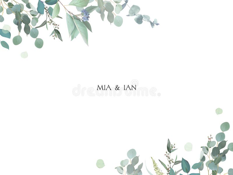 Herbal Eucalyptus Selection Vector Frame. Hand Painted Branches, Leaves ...