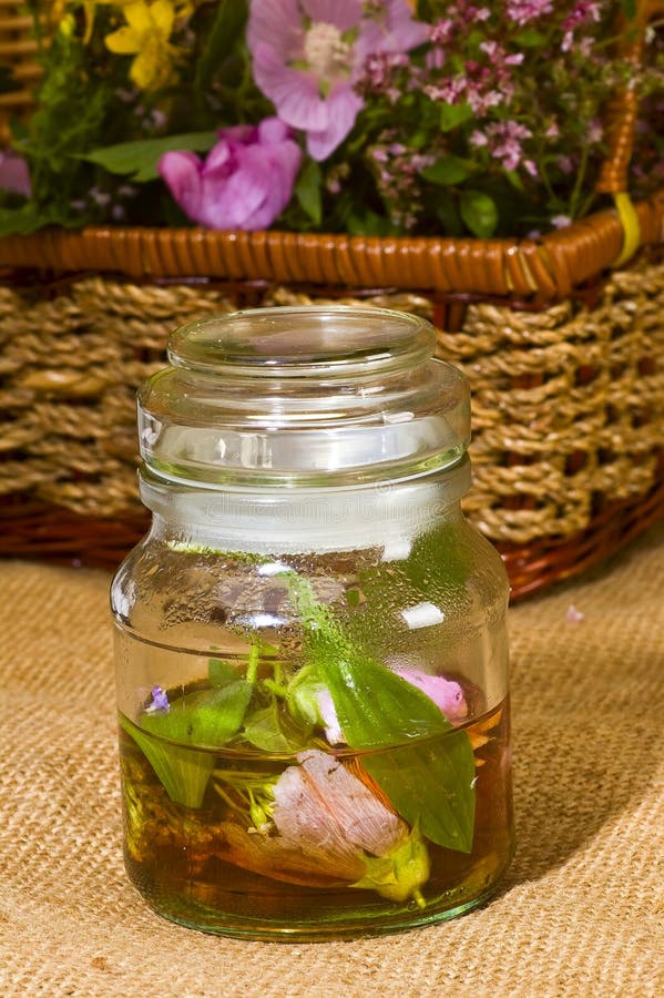 Herbal extract stock image. Image of hypericum, health - 39826667