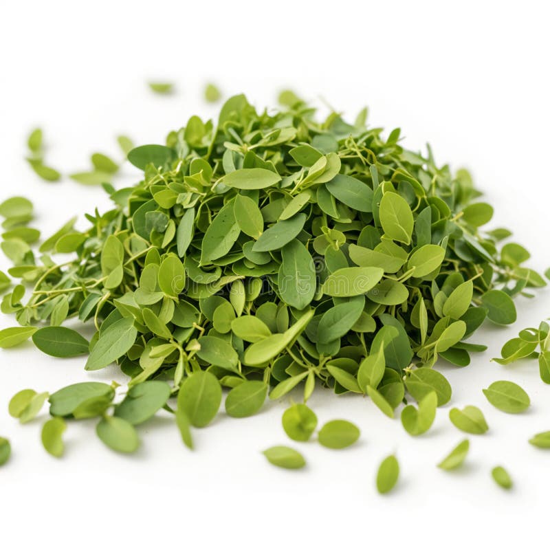 Herbal Fenugreek Methi Leaves, Isolated on White Background Stock ...