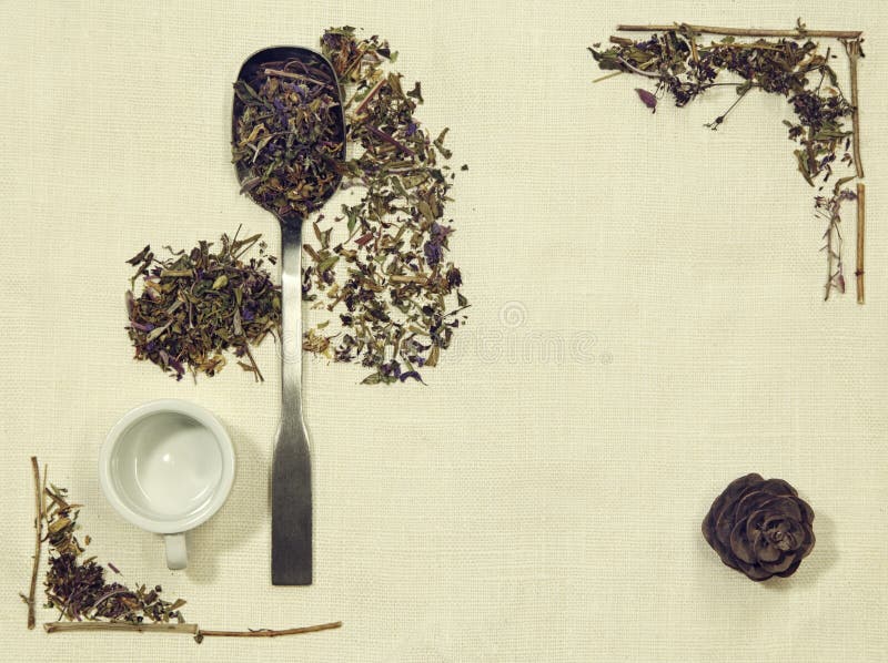 Herbal Flat Lay of Different Herbs on Linen Fabric with a Spoon, Cup ...