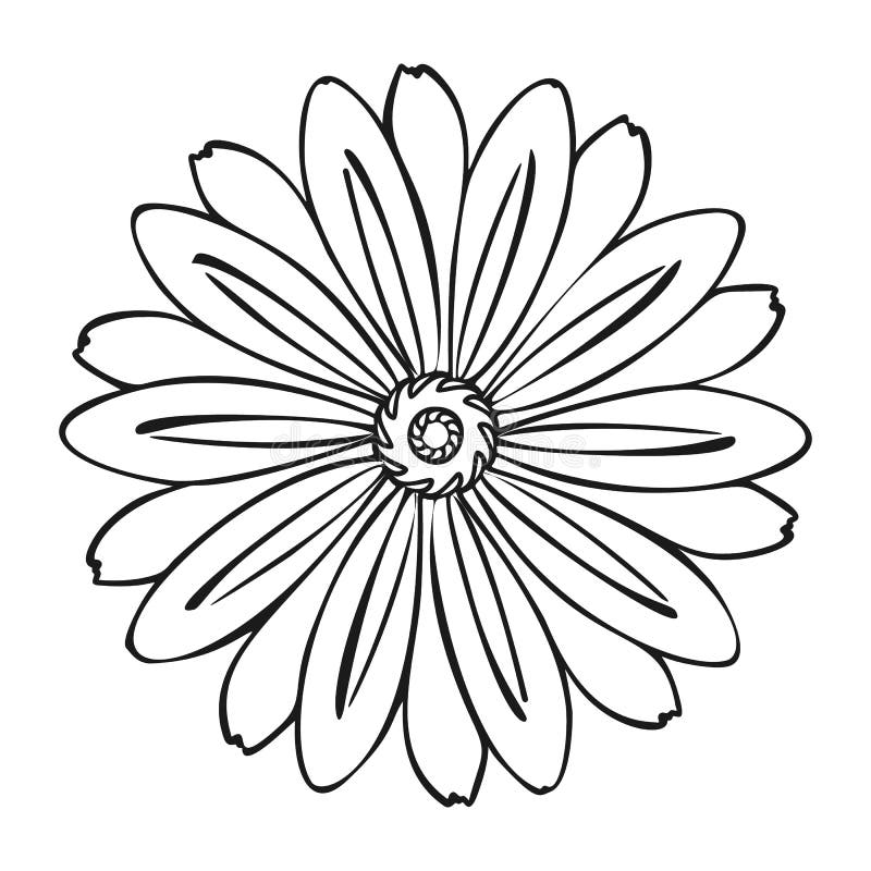 Calendula Flower Icon Stock Illustrations – 476 Calendula Flower Icon ...