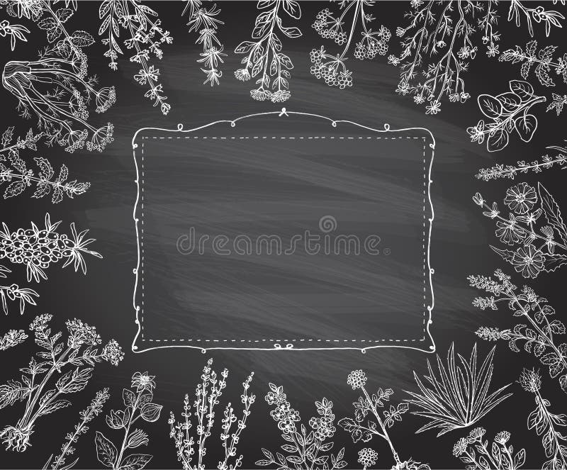 Herbal Frame on a Chalkboard Stock Vector - Illustration of card ...