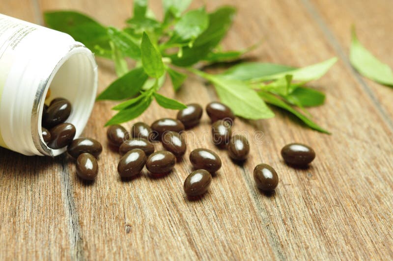 Herbal leaf stock image. Image of medicinal, plant, herbalism - 37929365