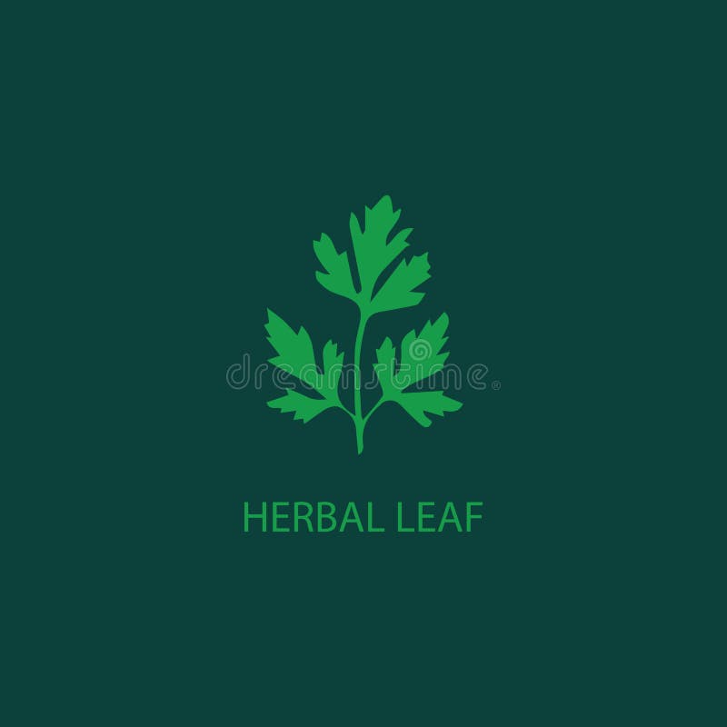 Nettle Leaf Icon Stock Illustrations – 226 Nettle Leaf Icon Stock ...