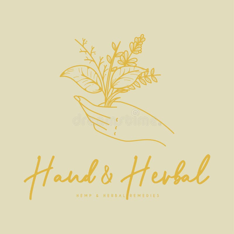 Herbal Logo Concept Vector stock vector. Illustration of design - 246899832