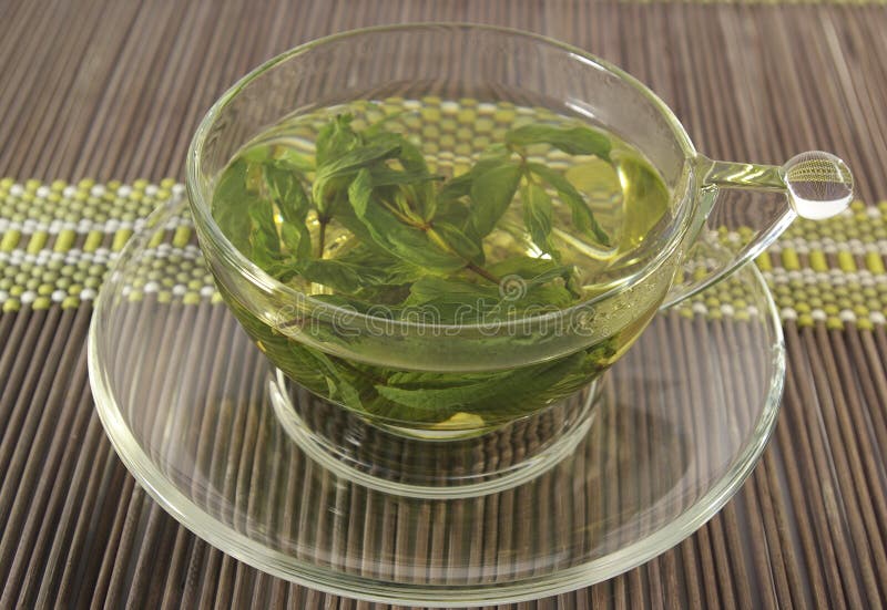 Herbal mint tea stock image. Image of herb, food, healthy - 5350529