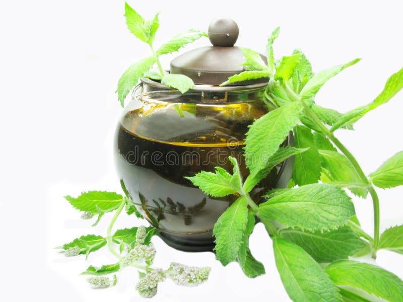 Herbal Tea and Teapot with Fresh Mint Stock Image - Image of healthy ...
