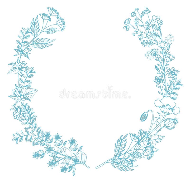 Botanical Frame. Herbal Border Stock Vector - Illustration of black ...