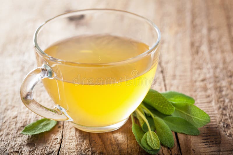 Herbal Sage Tea with Green Leaf in Glass Cup Stock Photo - Image of ...