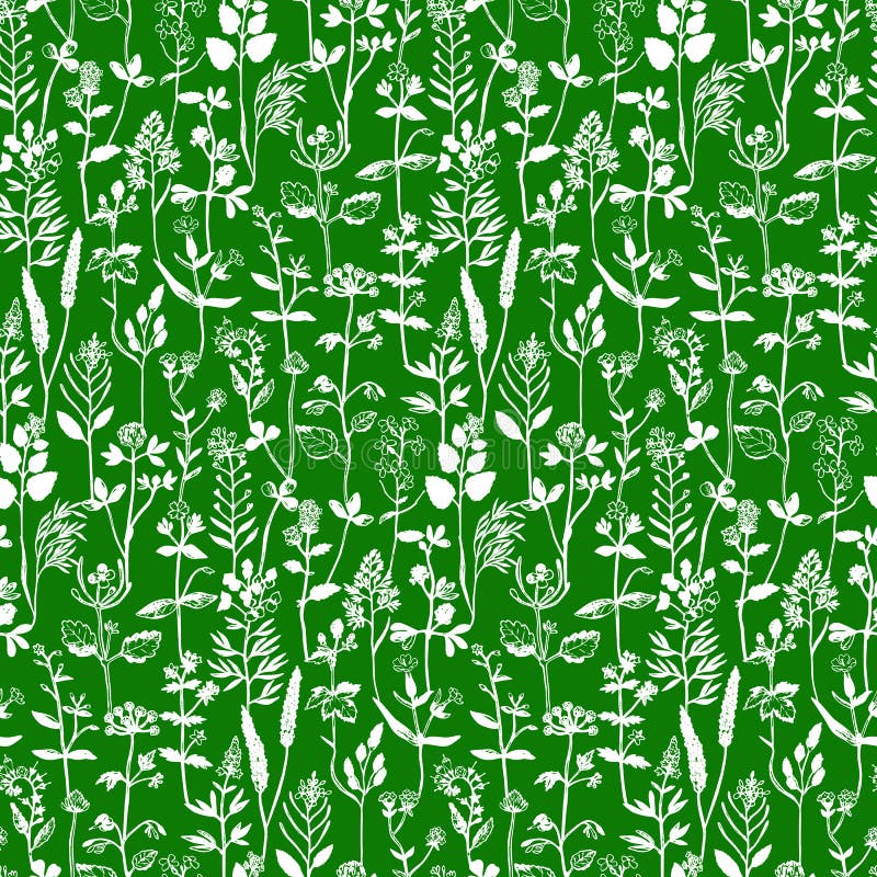 Herbal Seamless Pattern stock vector. Illustration of freehand - 96698861