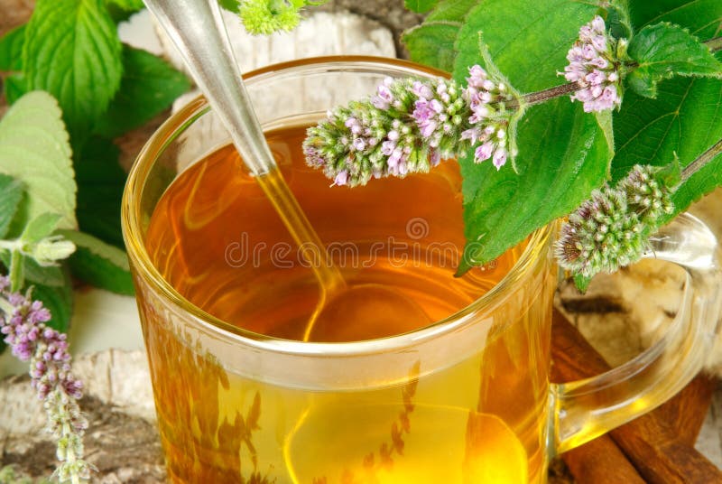 Herbal tea stock photo. Image of glass, medical, drug - 20636968