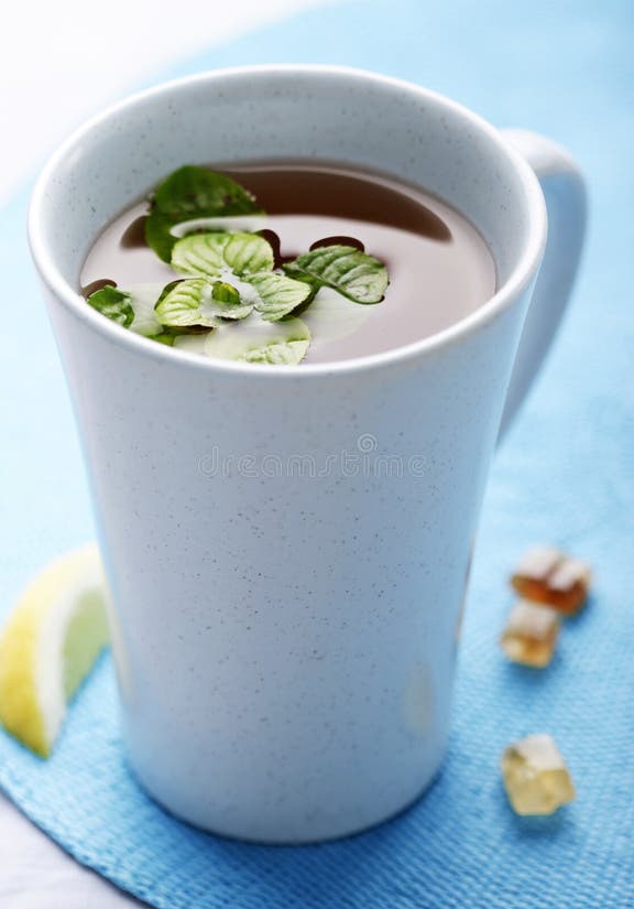 Herbal tea stock image. Image of mint, spearmint, health - 3979771