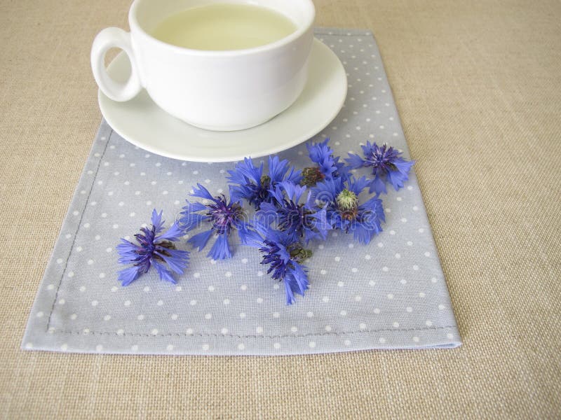 Herbal Tea with Blue Cornflower Flower Stock Photo - Image of flowering ...