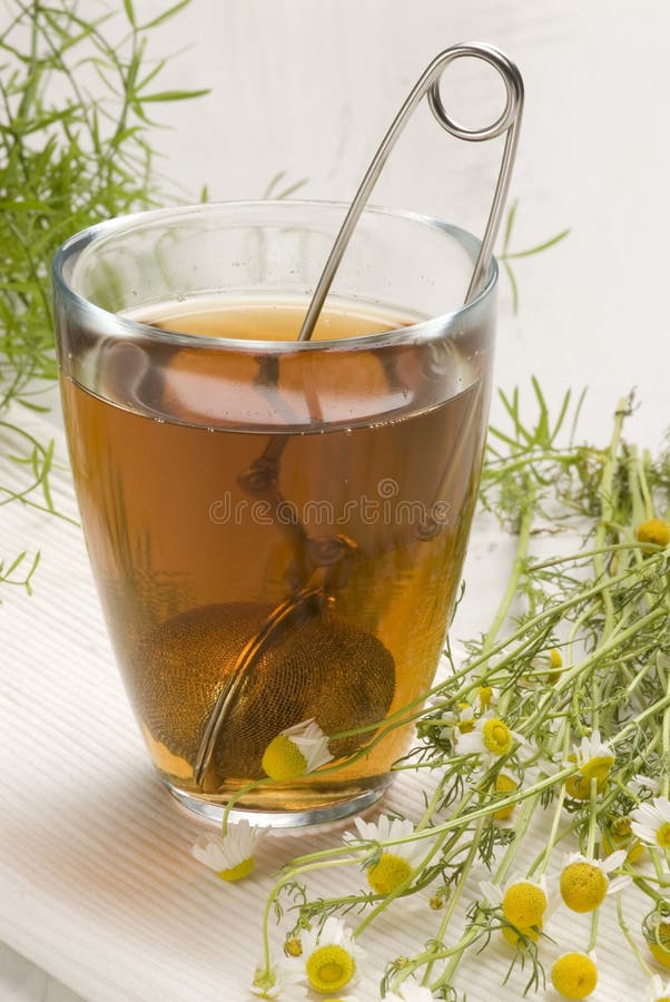 Herbal Tea. Retama Sphaerocarpa. Stock Image - Image of closeup ...
