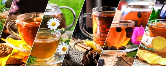 Herbal Tea Collage with Chamomile, Ginger, Rosehip, and Cinnamon Stock ...