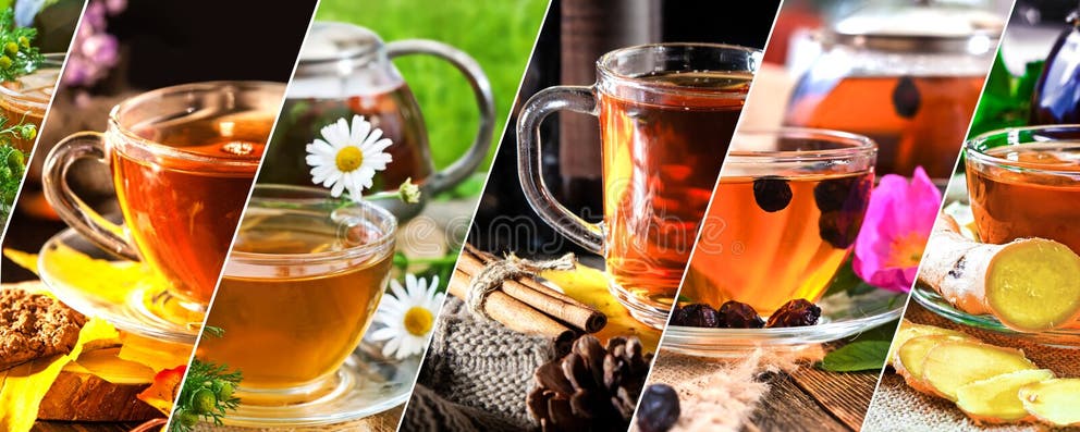Herbal Tea Collage with Chamomile, Ginger, Rosehip, and Cinnamon Stock ...