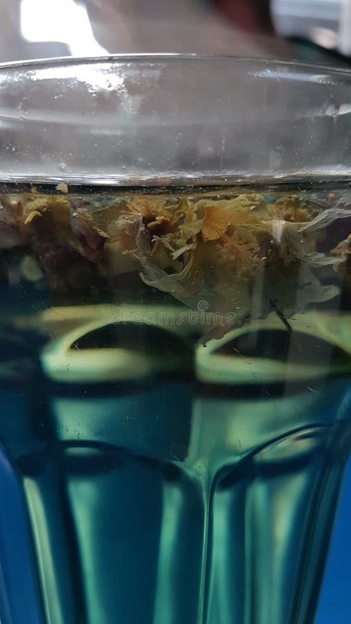 Herbal Tea in the Color Glass Stock Image - Image of green, herbal ...