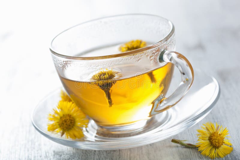 Herbal Tea with Coltsfoot Flowers Stock Photo - Image of herb, warm ...