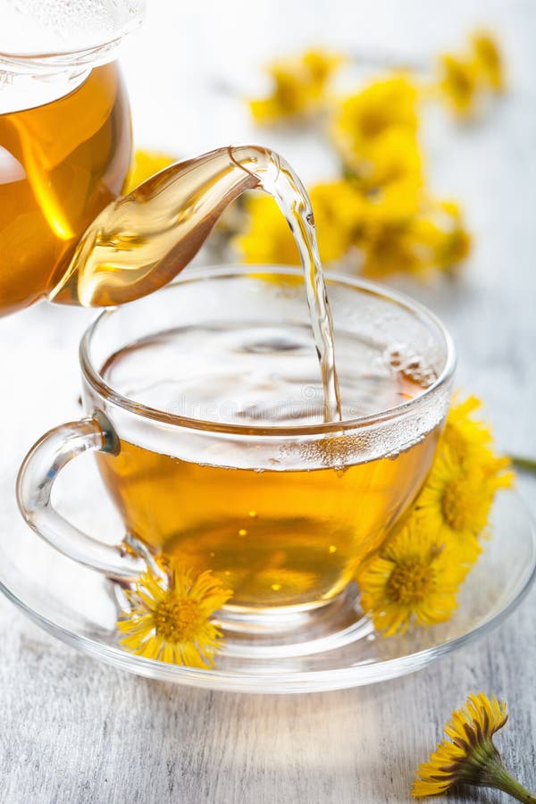 Herbal Tea with Coltsfoot Flowers Stock Photo - Image of herb, warm ...